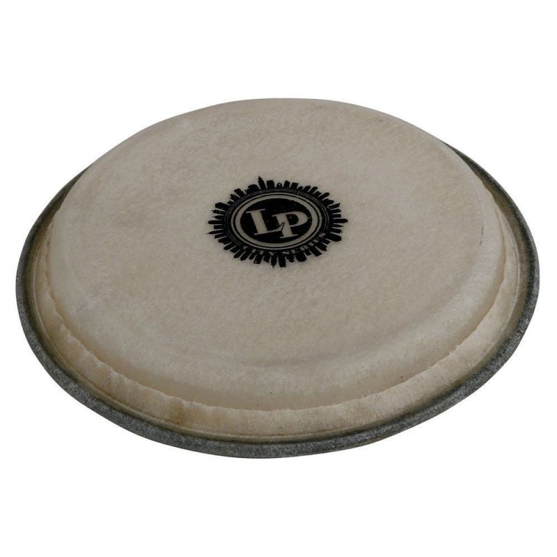 LP Parche para Bongo City EZ Curve Rim 65" Macho | MUSISOL